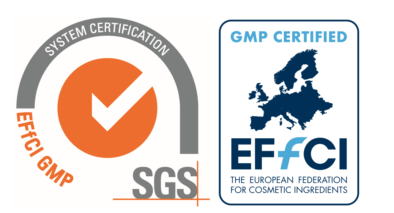 Eu Gmp Logo Egyptian Pharmaceutical Industry Set For Makeover As